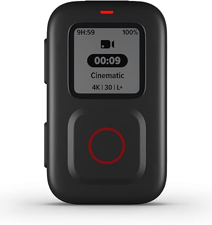 GoPro The Remote - Official GoPro Accessory: Amazon.co.uk: Electronics ...