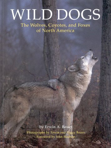 Wild Dogs: The Wolves, Coyotes, and Foxes of North America: Bauer ...
