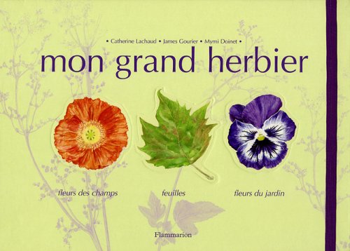 Amazon.fr - Mon grand herbier - Gourier, James, Doinet, Mymi, Lachaud ...