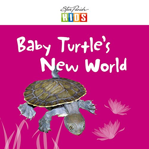 Baby Turtle's New World: Catherine Prentice: 9781741930399: Amazon.com ...