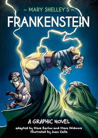 Mary Shelley's Frankenstein: A Graphic Novel (Classics in Graphics Book ...