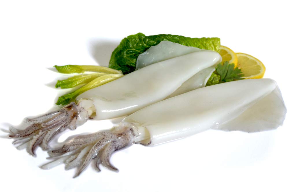 Gsf Whole Cleaned Squid With Tentacles 2000g Fully Cleaned Squid ...