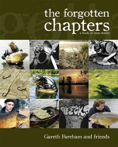 The Forgotten Chapters: Amazon.co.uk: Fareham, Gareth, Doe, Terry ...