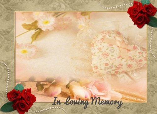 In Loving Memory: Red Rose Cover Design, Message Book , Keepsake ...