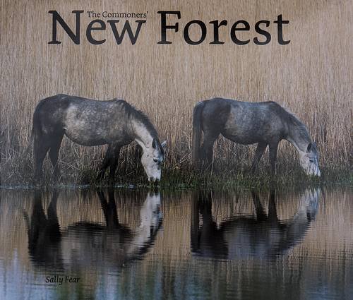The Commoners' New Forest : Fear, Sally: Amazon.co.uk: Books