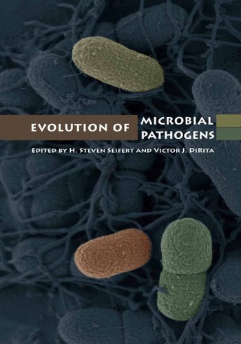 Evolution of Microbial Pathogens: Amazon.co.uk: Steven Seifert, H ...
