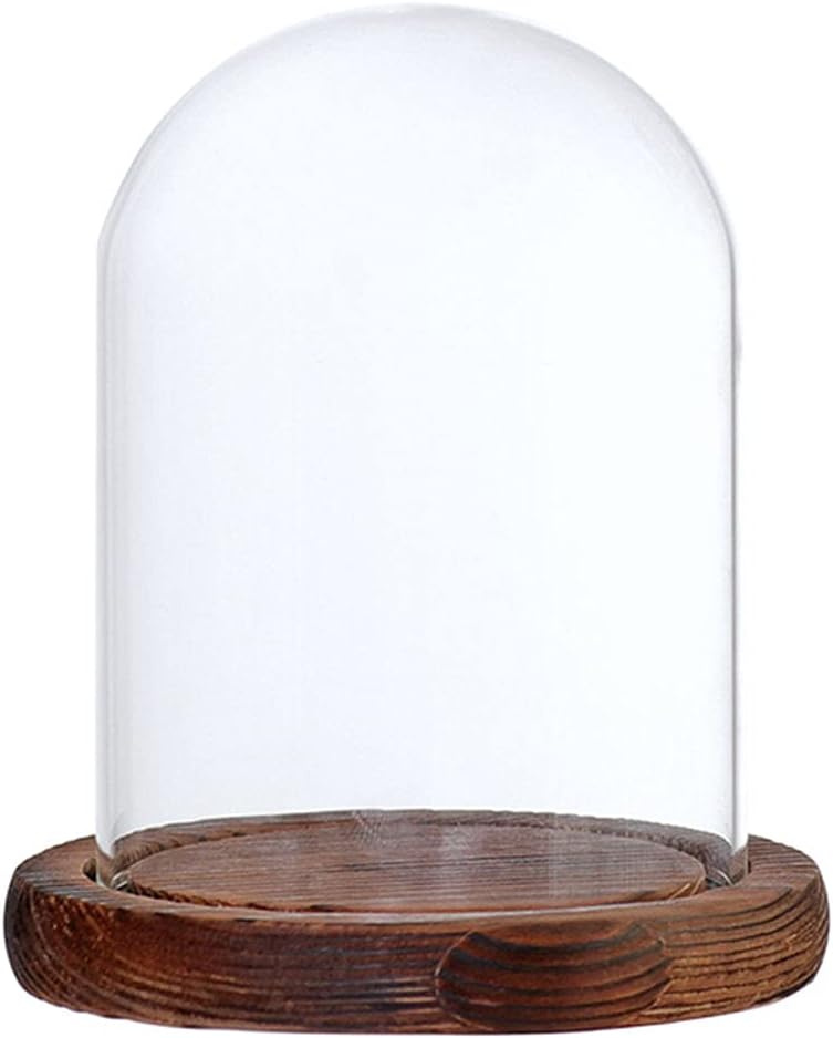 Amazon.com: Bddalpke Clear Glass Dome with Wooden Base for Home Wedding ...
