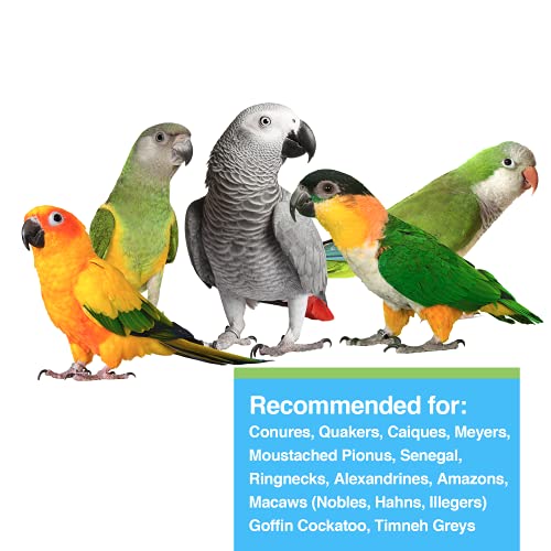 Reviews for Hagen Tropimix Enrichment Food for Small Parrots ...
