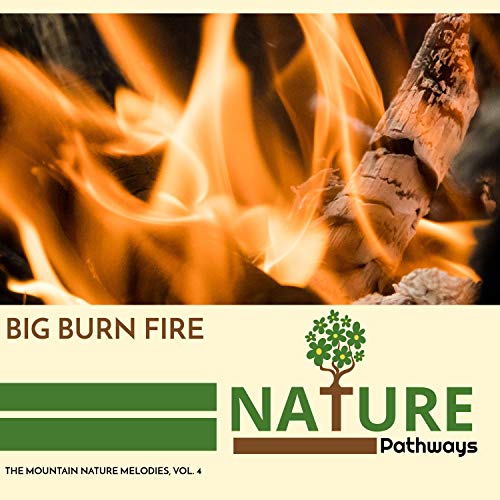 Amazon MusicでVARIOUS ARTISTSのBig Burn Fire - The Mountain Nature ...