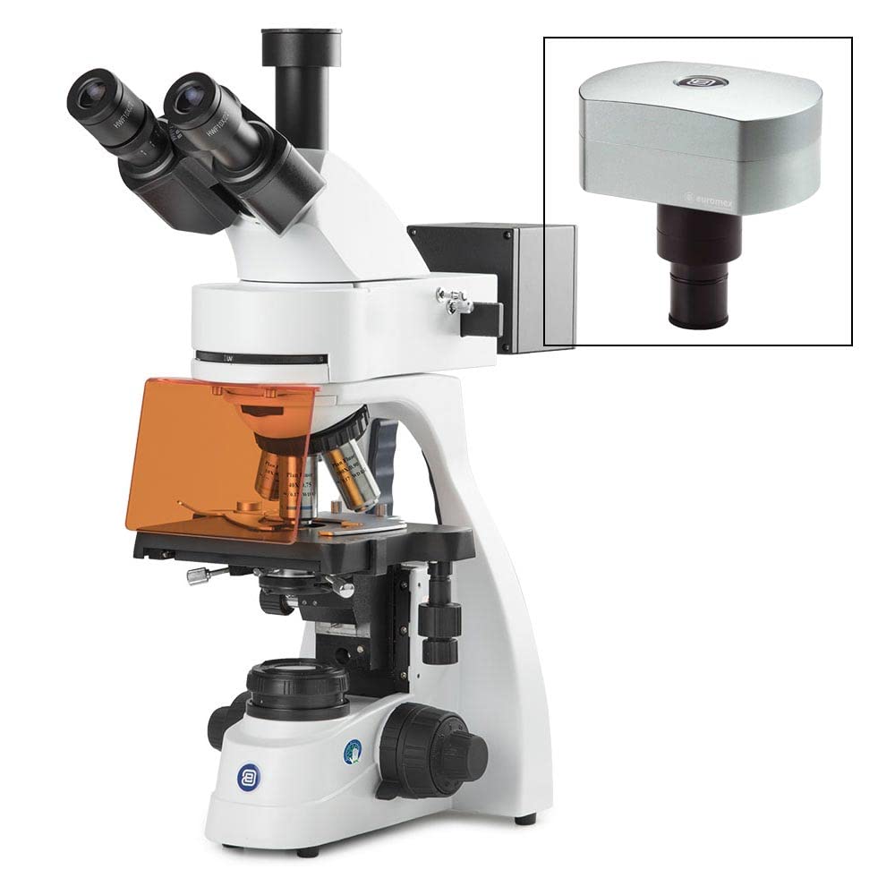 Nosepiece Microscope