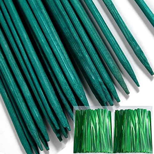 Amazon.com : Plant Stakes for Outdoor Plants and Indoor Plants ...
