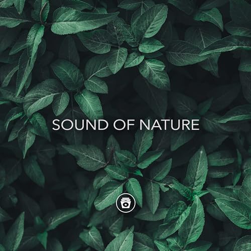 Sound Of Nature by Nature Sounds on Amazon Music Unlimited