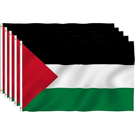 Amazon.com : 3x5 Ft (5pcs) Palestine Flag-Vivid Color and Uv Fade ...