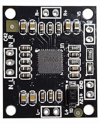 KeepItSecret PAM86,12V Watt Two Channel Audio Module Stereo Digital ...
