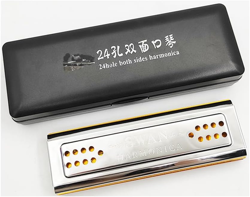 Amazon.com: 24-hole Double-sided Harmonica In C and G Keys Harmonica In ...