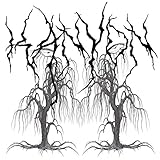 【発売日：2020年10月23日】・製造元:Towhead Recordings