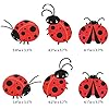 Amazon.com: Ladybug Decals Stickers for Ladybug Wall Decor - Set of 6 ...