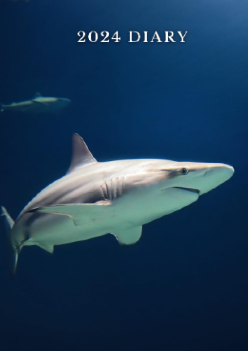 Shark Diary 2024 Slim: A6 diary, week to view, diary planner 2024-25 ...