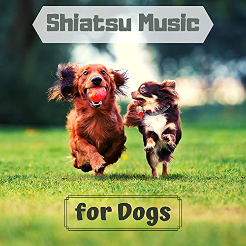 Shiatsu Music for Dogs de Shiatsu Zen en Amazon Music Unlimited