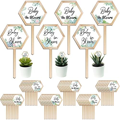 48 Pcs Baby in Bloom Succulent Tags Baby Shower Plant Stakes Labels ...