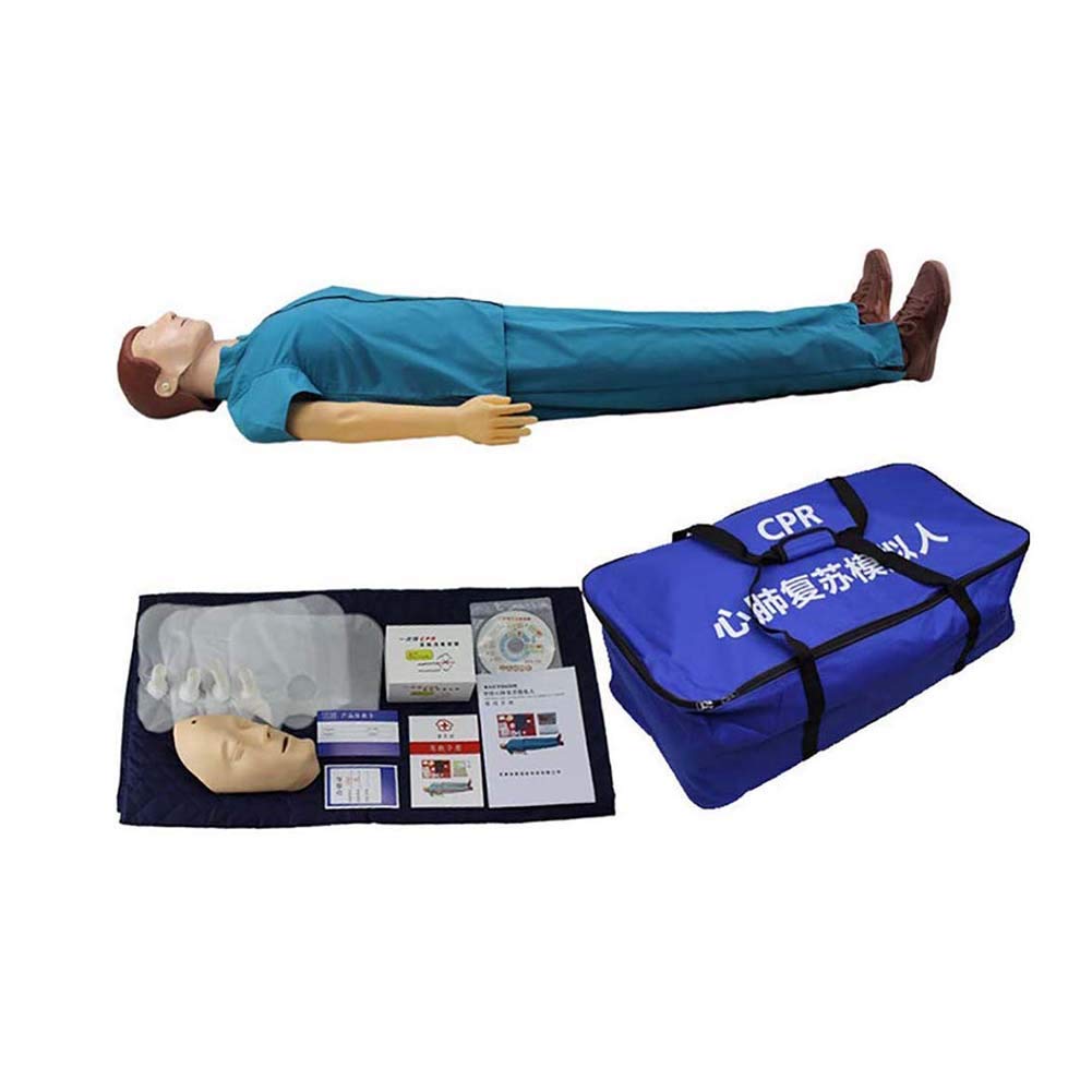 Cpr Cardiopulmonary Resuscitation Simulation For Study Display Medical ...