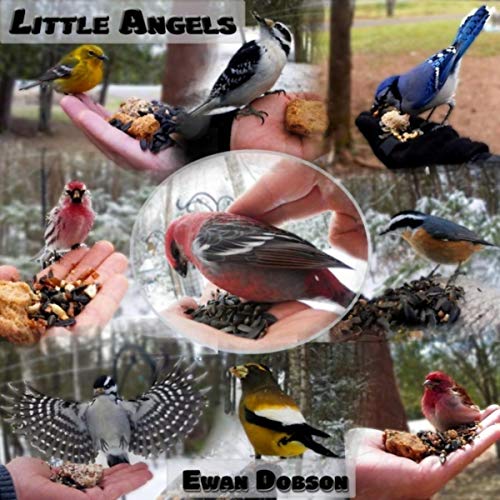 Amazon.com: Little Angels : Ewan Dobson: Digital Music