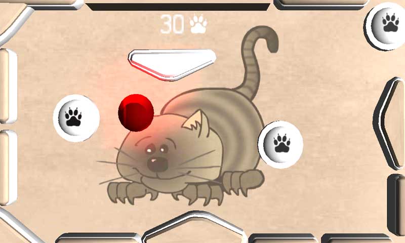 Cat Pinball - a Cat Toy - App on the Amazon Appstore