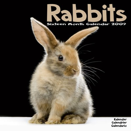2009 Rabbits Wall Calendar: Avonside Publishing: 9781846625824: Amazon ...