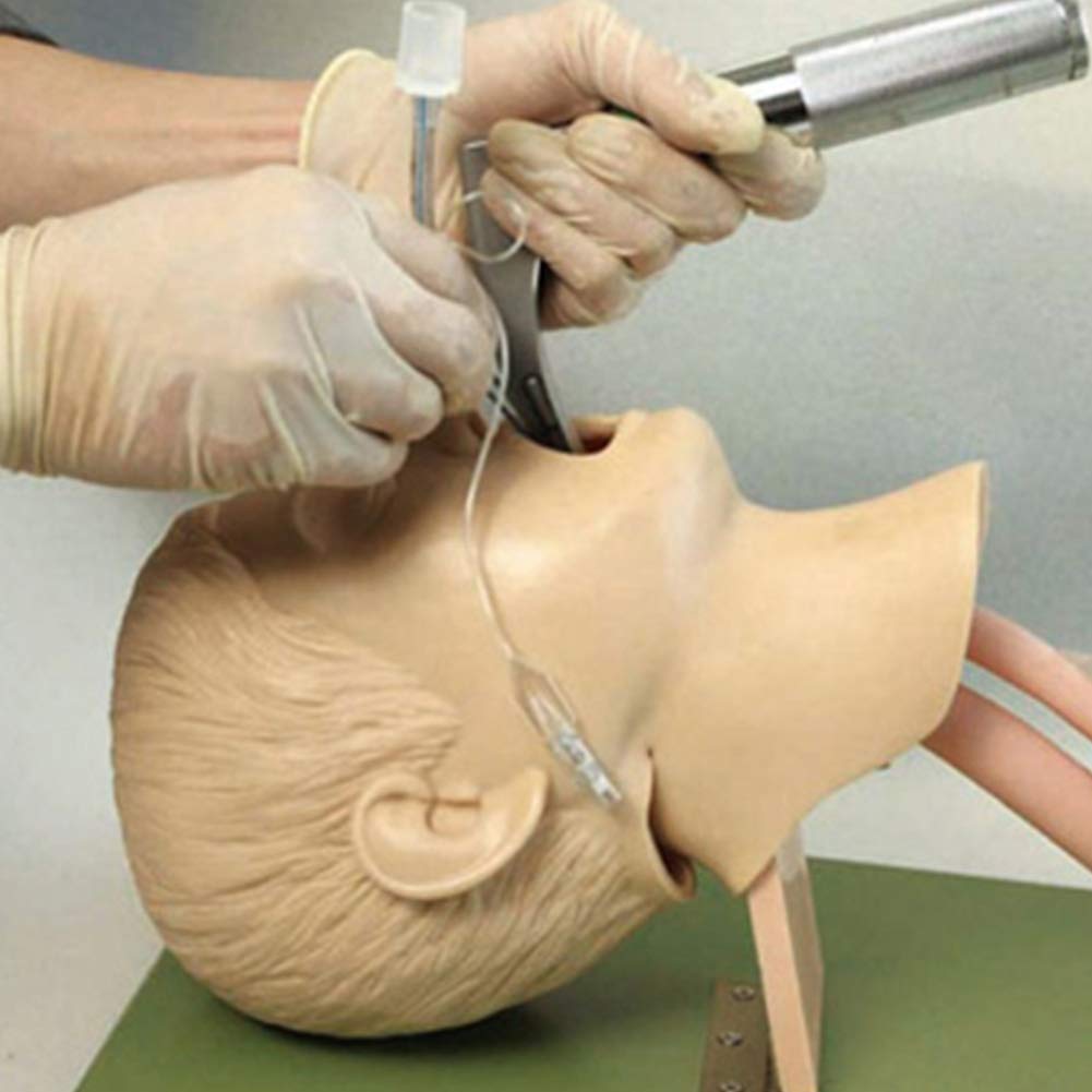 Buy EnweNge Neonatal Tracheal Intubation Train Model, Advanced Human ...