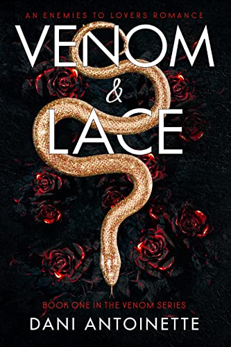 Venom and Lace: An Enemies to Lovers Romance (Book One of the Venom ...