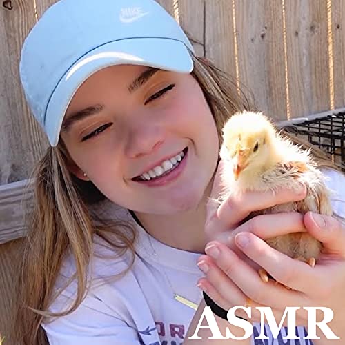 Meet The Chicks von Madi ASMR bei Amazon Music - Amazon.de
