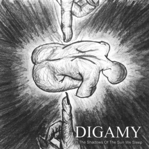 Amazon.com: In The Shadows of the Sun We Sleep : Digamy: Digital Music