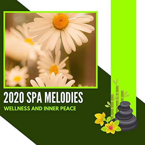 Amazon.com: 2020 Spa Melodies - Wellness And Inner Peace : Zakk Miles ...