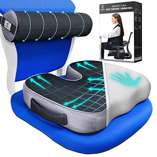 2pc Ergonomic Seat Cushion Lumbar Roll Combo for Chair - Pain and ...