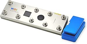 Amazon.com: Paint Audio MIDI Captain Foot Controller with EXP-AB Face ...
