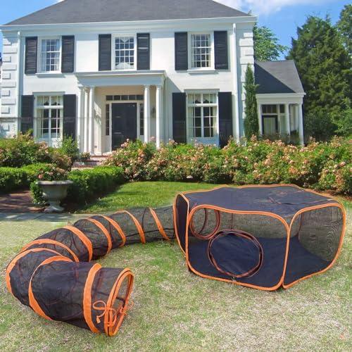 Jump into the Best Rabbit Playpens with our Top 10 Picks and Buying ...