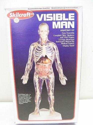 Amazon | Visible Man Kit | Anatomical Chart Company | Basic Science