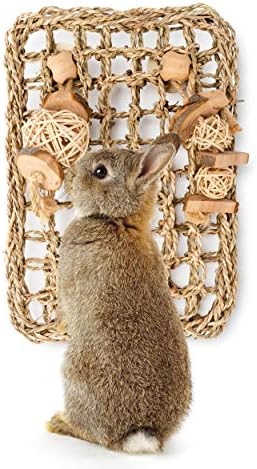 Rabbits - Rango, Mango and Tango's Amazon Page