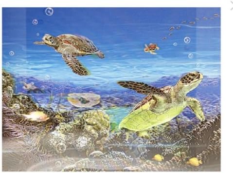 Amazon.com: WILD REPUBLIC Novelty - 3D Poster Sea Turtles: Posters & Prints