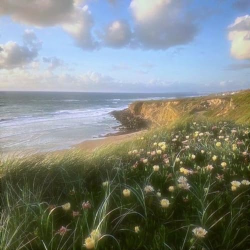 Play injury by ENDRI on Amazon Music