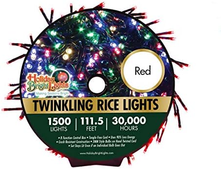 Amazon.com: Holiday Bright Lights Indoor/Outdoor 20' 768L Twinkling ...