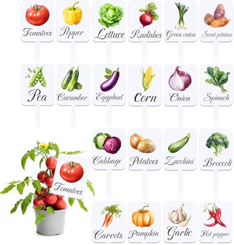 Amazon.com: Whaline 22Pcs Acrylic Vegetable Plant Label Signs 22 Styles ...