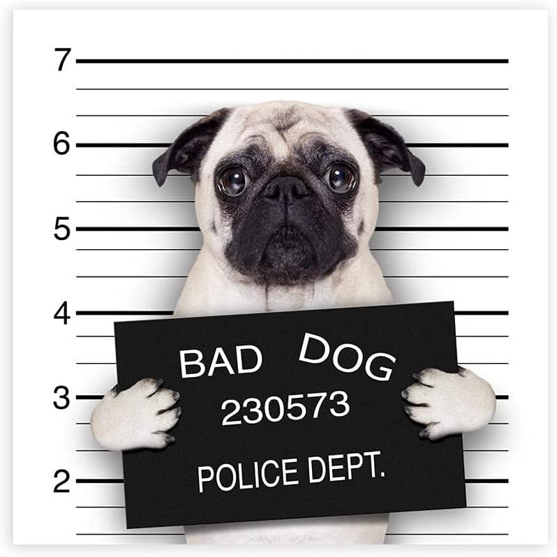 Robbery Dog Memes Dog Collar Crime: A Crime Caper Animal Mystery By