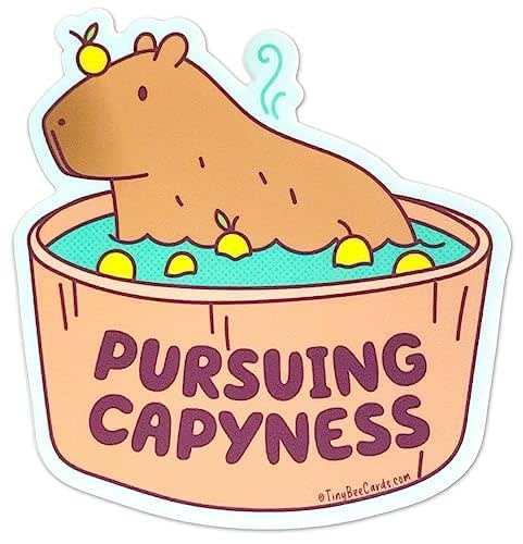 Amazon.com: Capybara in Yuzu Spa Vinyl Sticker - Pursuing Capyness ...