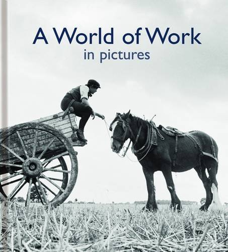 Buy A World of Work in Pictures Book Online at Low Prices in India | A ...