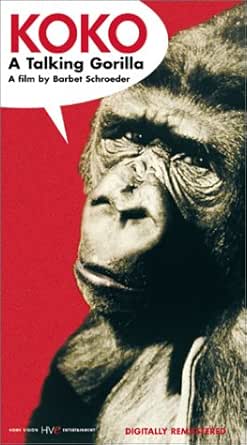 Koko, A Talking Gorilla [VHS] : Amazon.com.mx: Películas y Series de TV