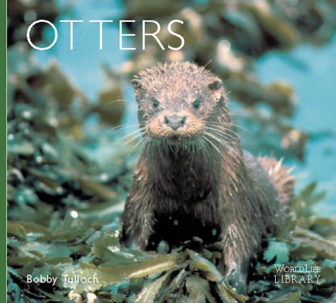 Otters: Tulloch, Bobby: 9781841070094: Amazon.com: Books