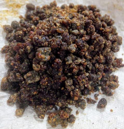 Buy Pure Guggul/Gugula/Gugal Dhoop/Guggal/Gugal/Guggal for Dhoop ...