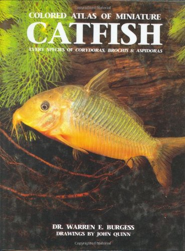 Buy Atlas of Miniature Catfish Book Online at Low Prices in India ...