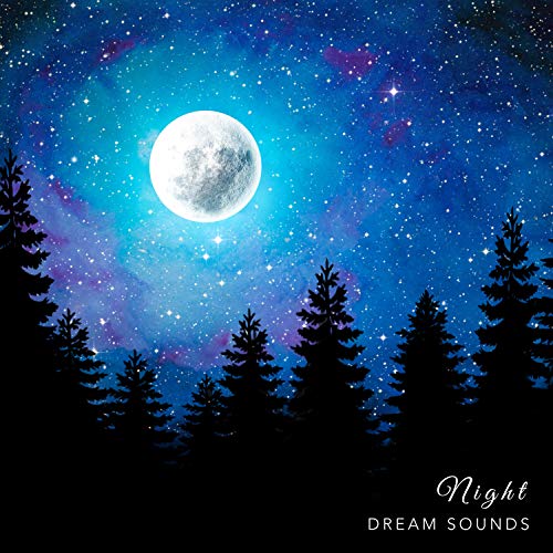 Play Night by Dream Sounds on Amazon Music
